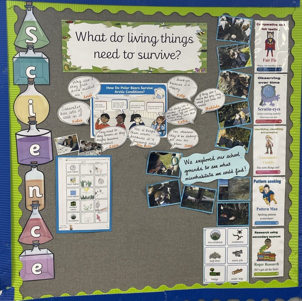 Science – What do living things need to survive? – St Nicholas CE ...